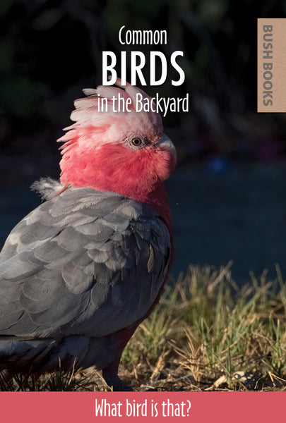 Birds in the Backyard – WA Naturally