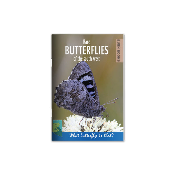 Rare Butterflies of the South West – WA Naturally