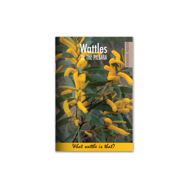 Wattles of the Pilbara – WA Naturally