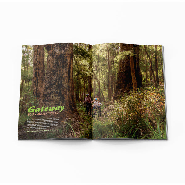 LANDSCOPE Vol 40/No 2 Summer 2024-25 – WA Naturally
