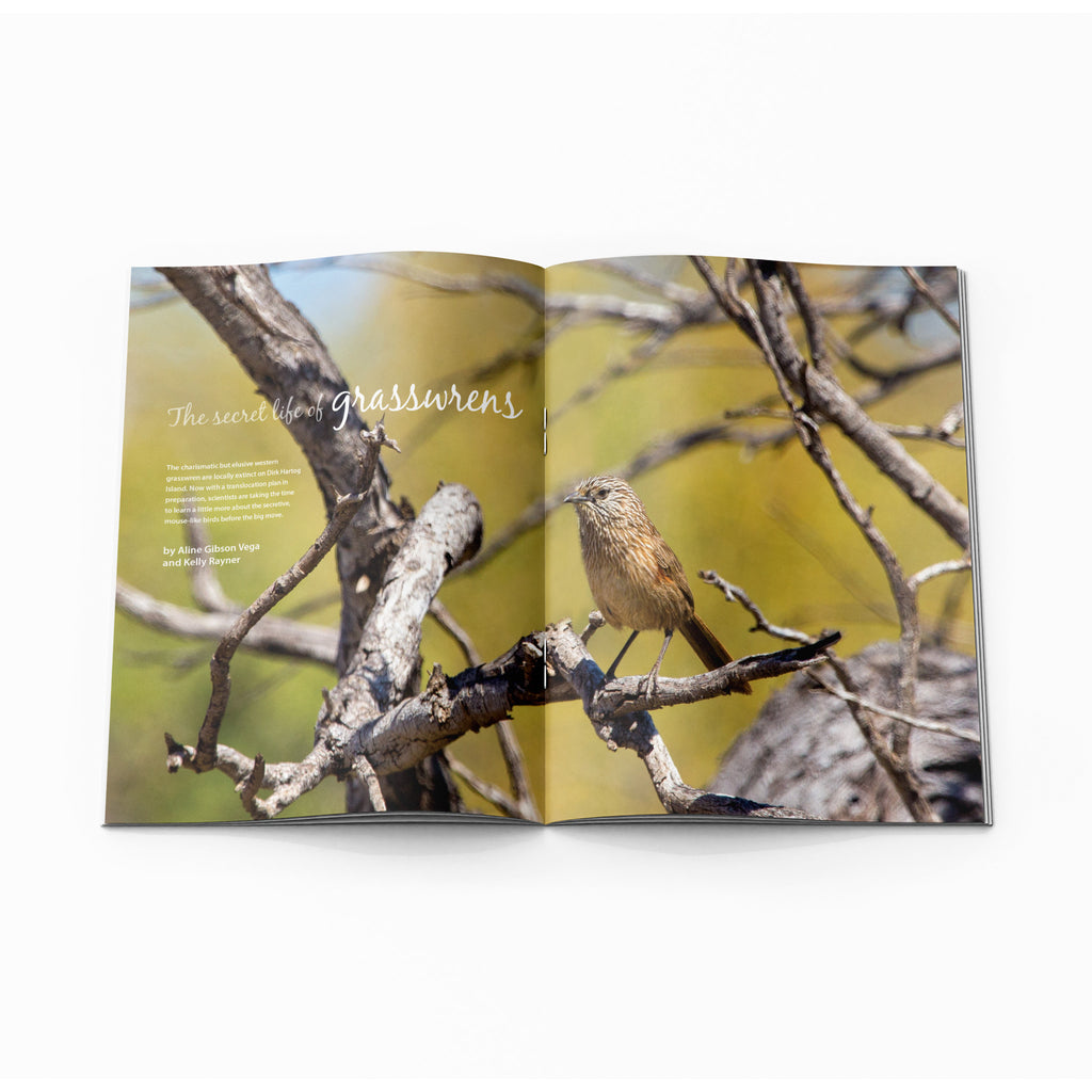 LANDSCOPE Vol 36/No 4 Winter 2021 – WA Naturally