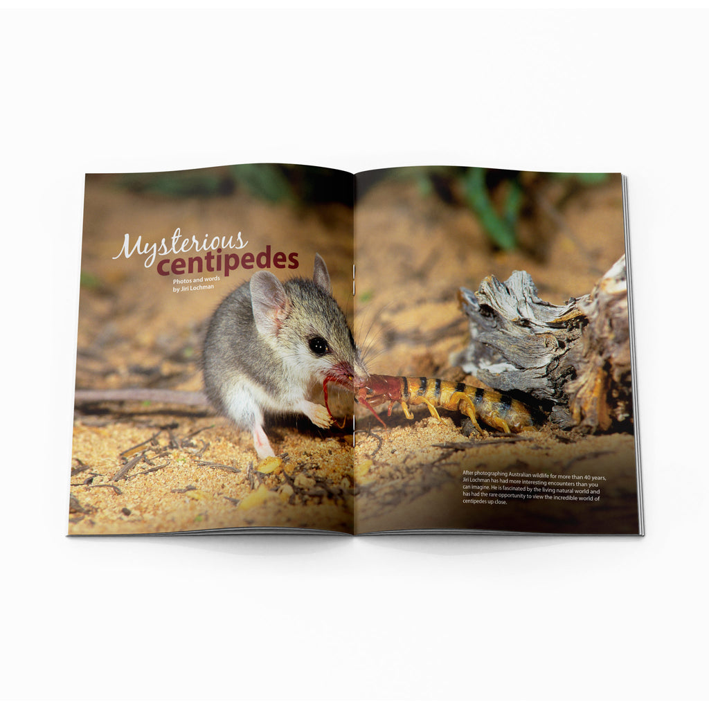 LANDSCOPE Vol 39/No 3 Autumn 2024 – WA Naturally