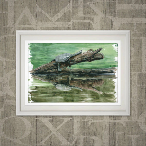 Oblong turtle print – WA Naturally