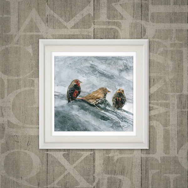Painted finches print – WA Naturally