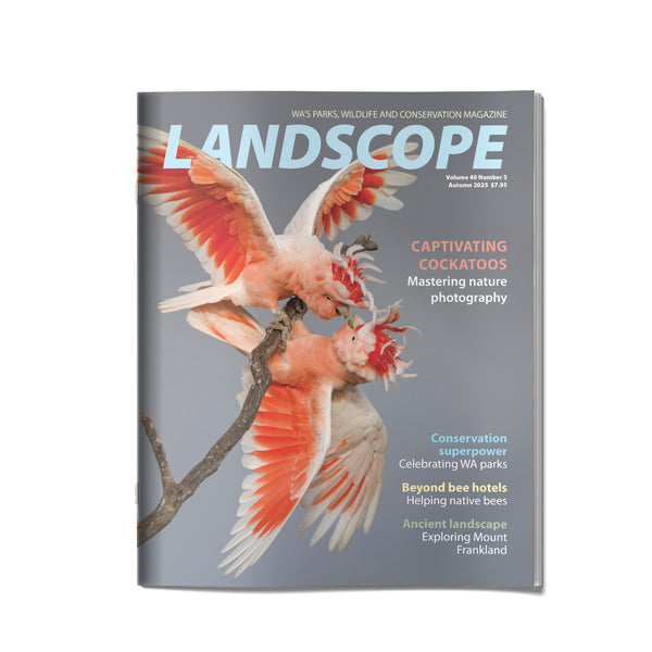 LANDSCOPE Vol 40/No 3 Autumn 2025 – WA Naturally