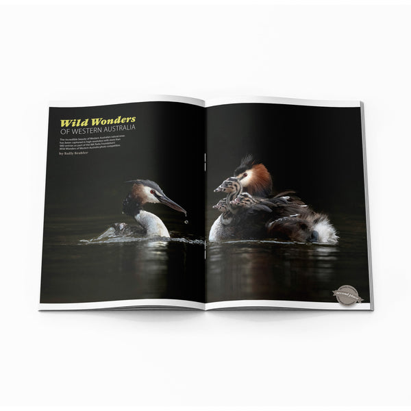 LANDSCOPE Vol 40/No 3 Autumn 2025 – WA Naturally