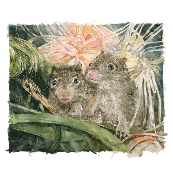 Dibbler print – WA Naturally