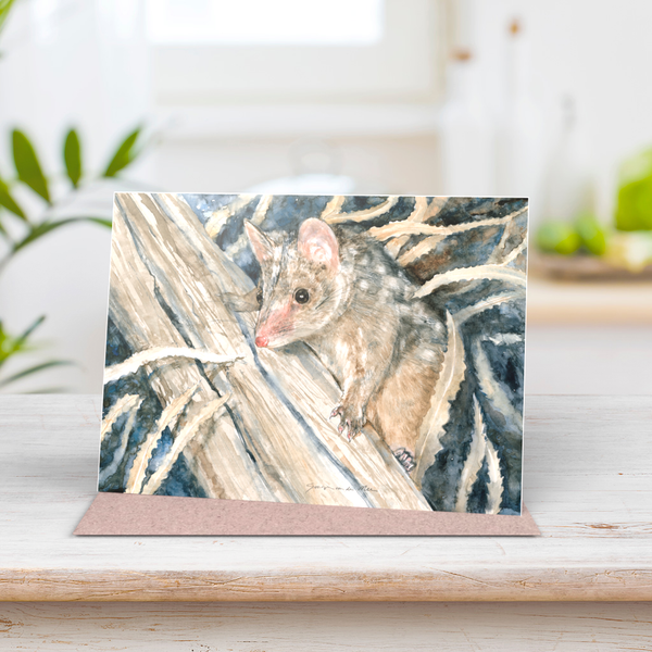 Chuditch greeting card – WA Naturally