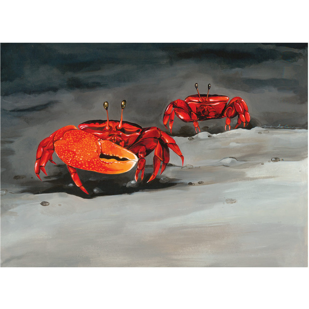 Flame-backed fiddler crab print – WA Naturally