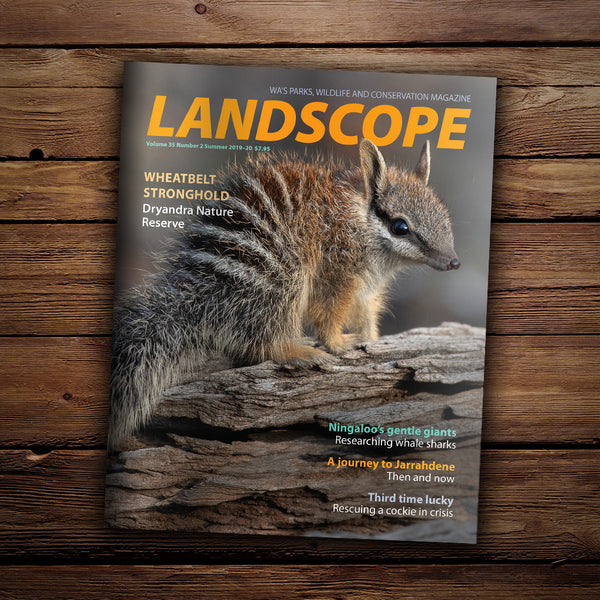 LANDSCOPE Vol 35/No 2 Summer 2019-20 – WA Naturally