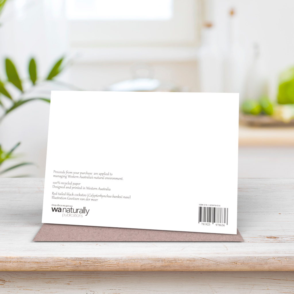 Red-tailed black cockatoo greeting card – WA Naturally