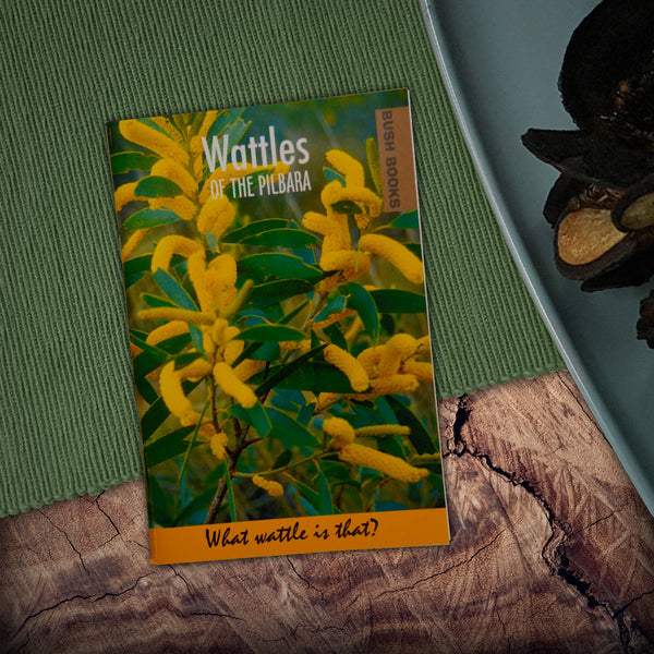 Wattles of the Pilbara – WA Naturally