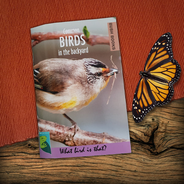 Birds in the Backyard – WA Naturally