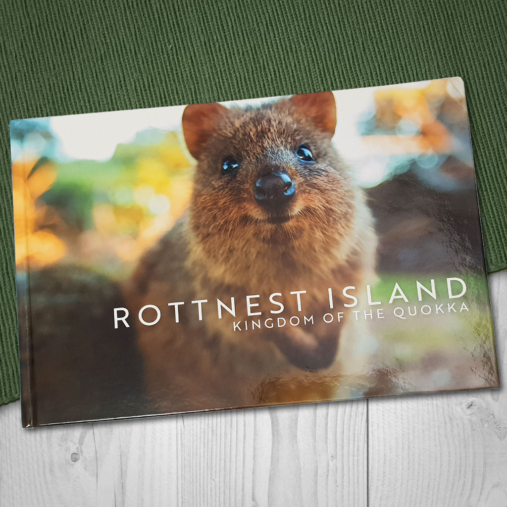 Imágenes Del Quokka De La Isla Rottnest Todo Sobre El Quokka, El
