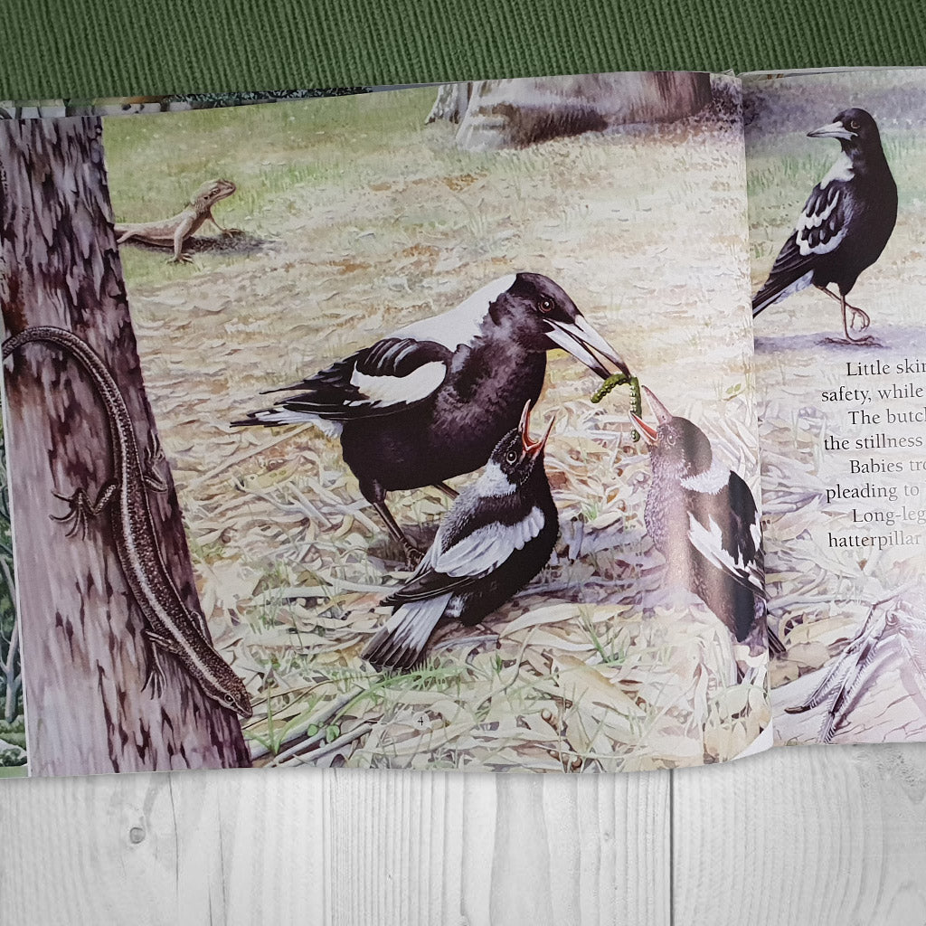 Tuart Dwellers – WA Naturally