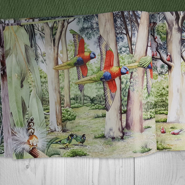 Tuart Dwellers – WA Naturally