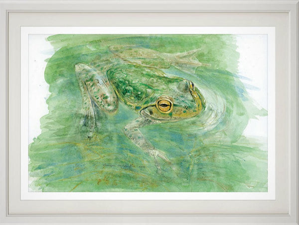 Spotted-thighed frog print – WA Naturally